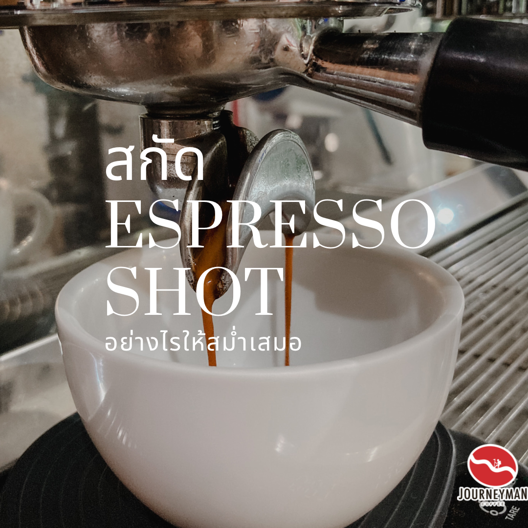 สกัด Espresso Shot อย่างไรให้สม่ำเสมอทุกครั้งที่ชง - journeyman