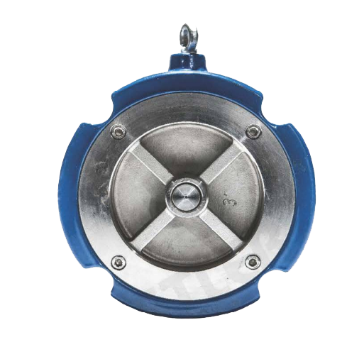 KISTLER SLC-605 SILENT CHECK VALVE CAST IRON VALVE - pneuma