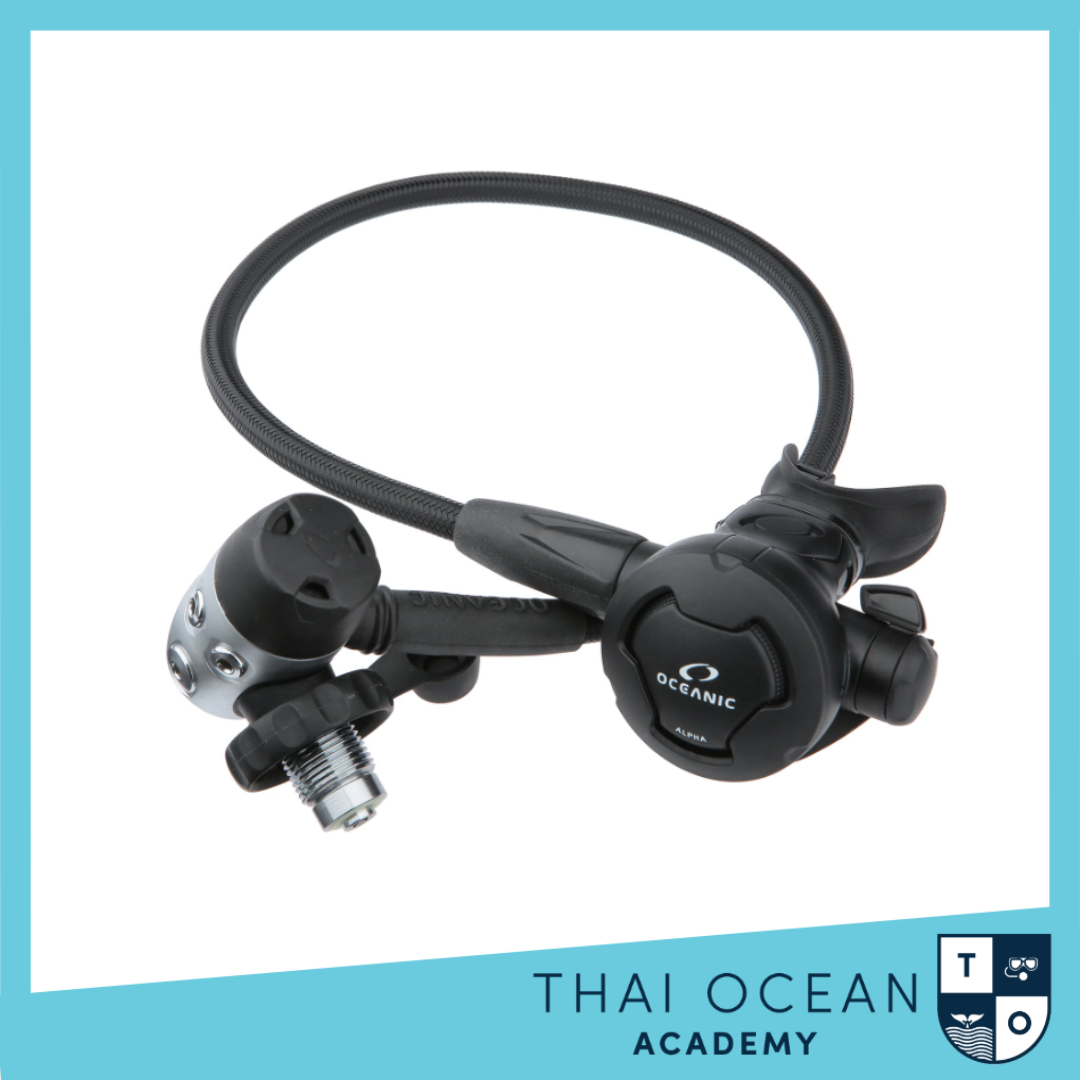Oceanic Alpha 10 CDX Regulator | Thai Ocean Academy