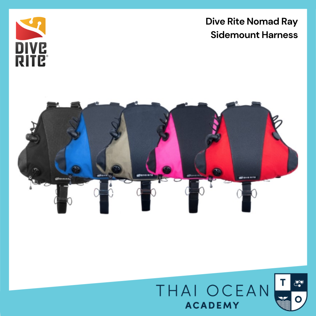 Dive Rite Nomad Ray Sidemount Harness BCD - Thai Ocean Academy ...