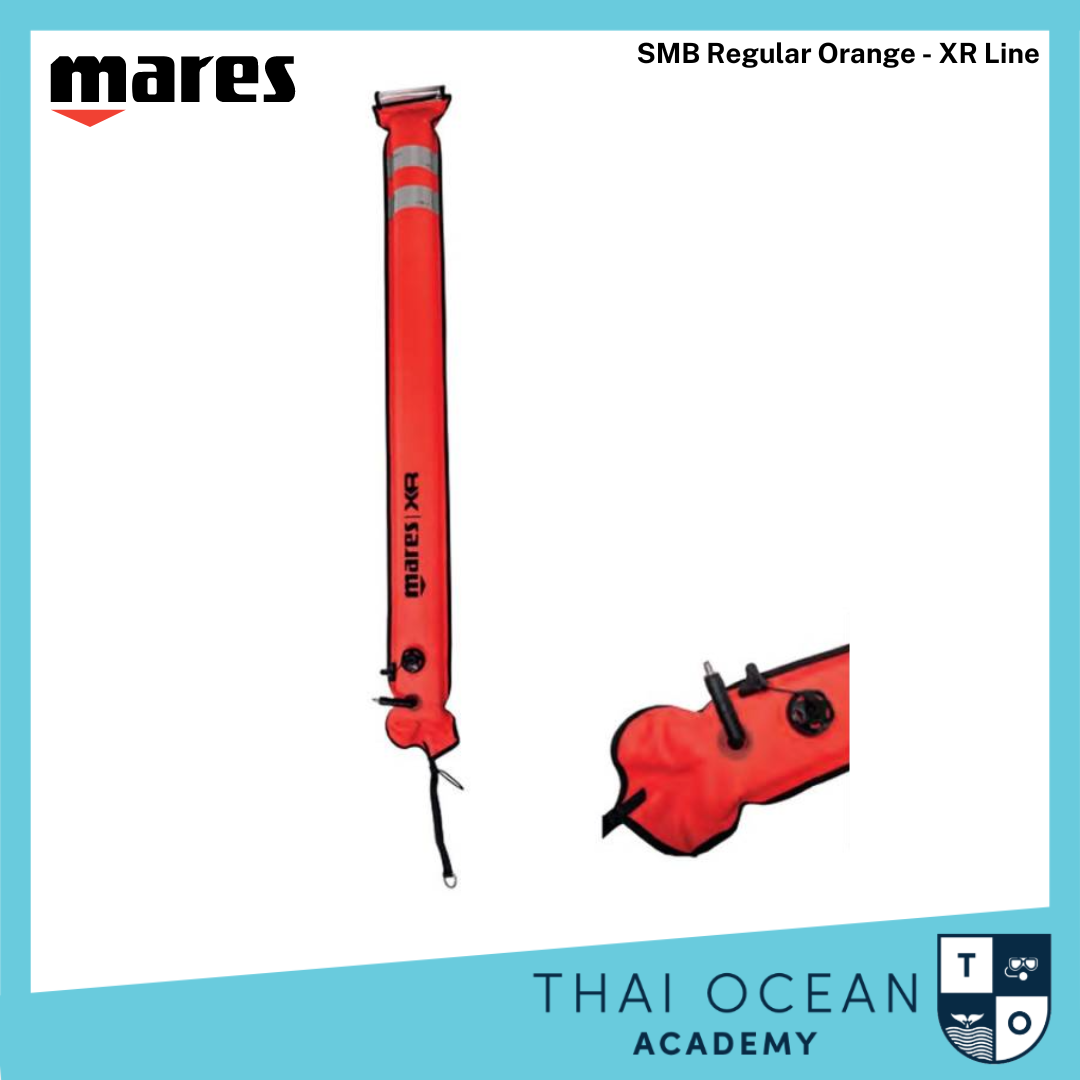 Mares XR Line SMB Regular 180cm - Thai Ocean Academy