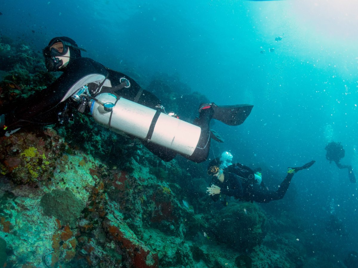 Scuba Diving Equipment Brands: Dive Rite, XDEEP, and OMS