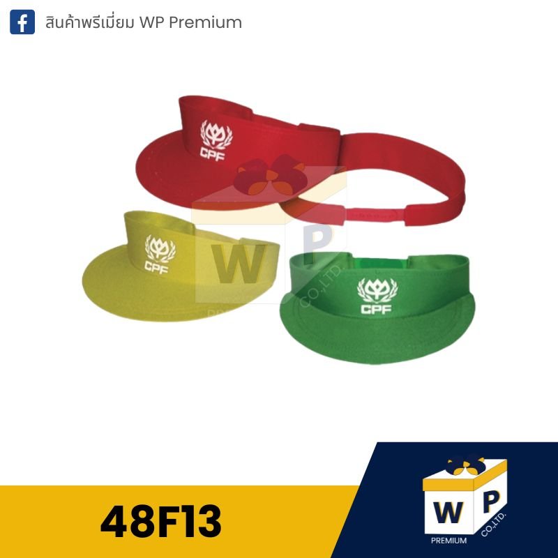 หมวก Cap 48F13