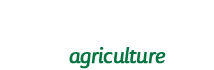 Superfoods Farm(ซุปเปอร์ฟู้ดส์ ฟาร์ม)