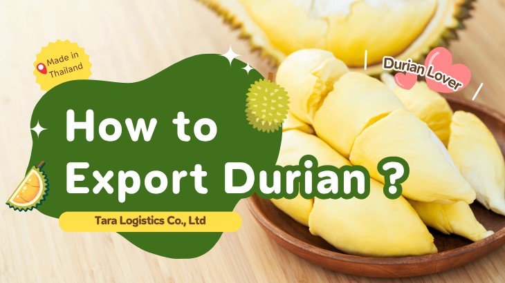 How to Export Durian?