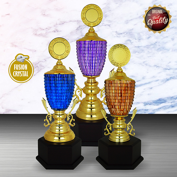 ถ้วยรางวัลซิลเวอร์ รหัส Ws6124 - crystalcrowntrophy