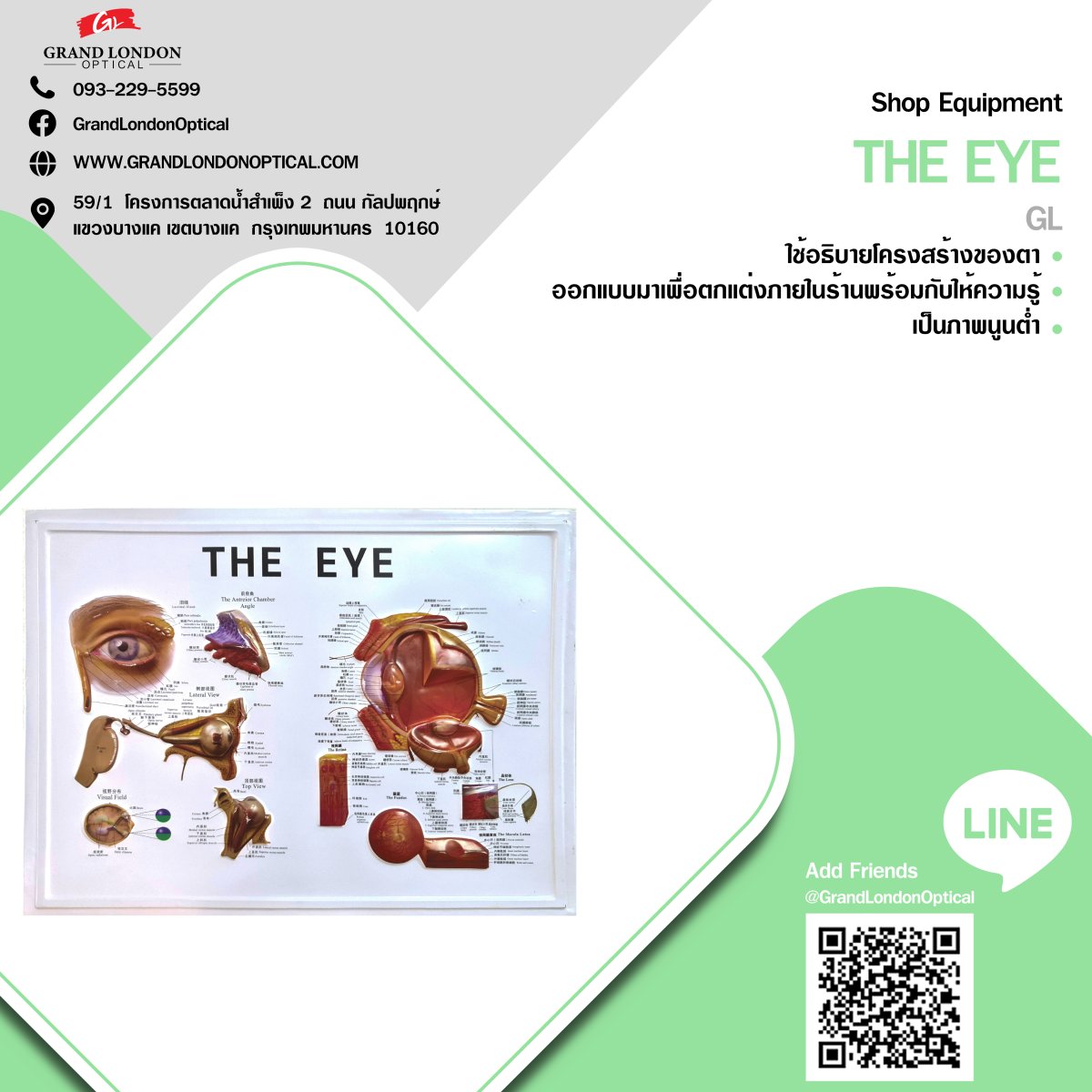 The Eye