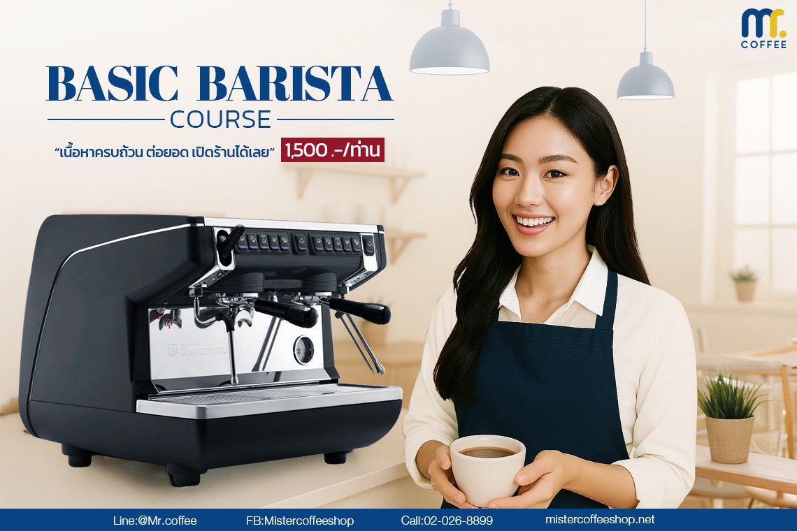 BASIC BARISTA COURSE - mistercoffeeshop