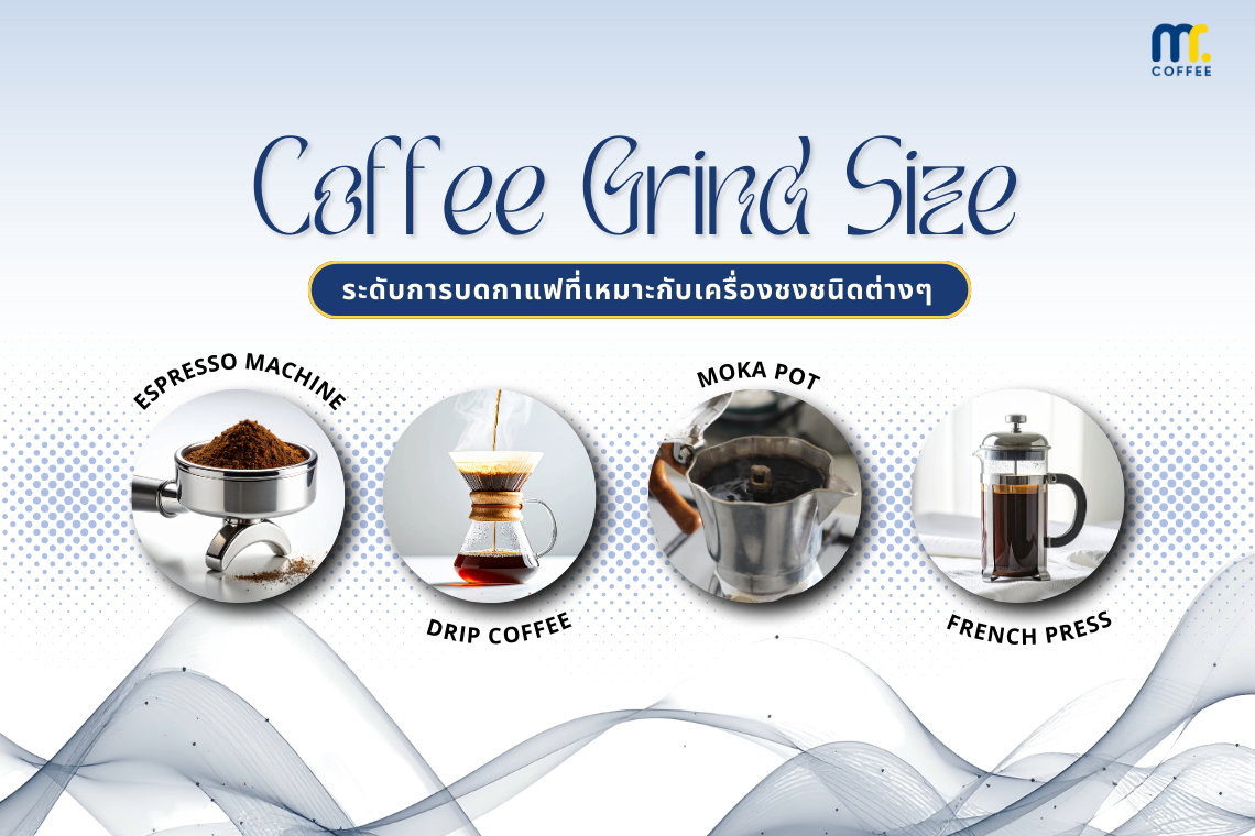 Coffee Grind Size - The Key to a Perfect Brew