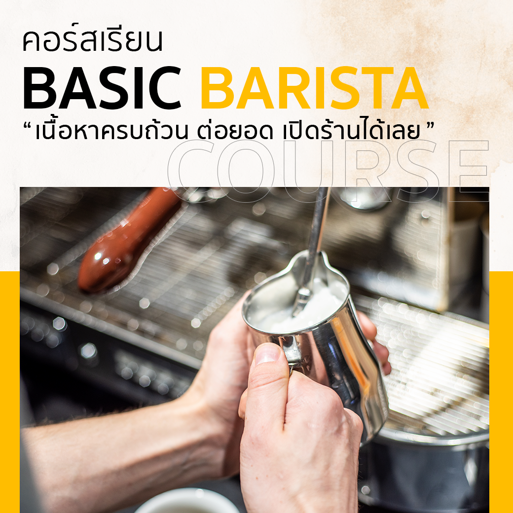 BASIC BARISTA - mistercoffeeshop