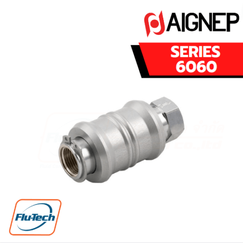 AIGNEP – SERIES 6060 SLIDE VALVE have been designed