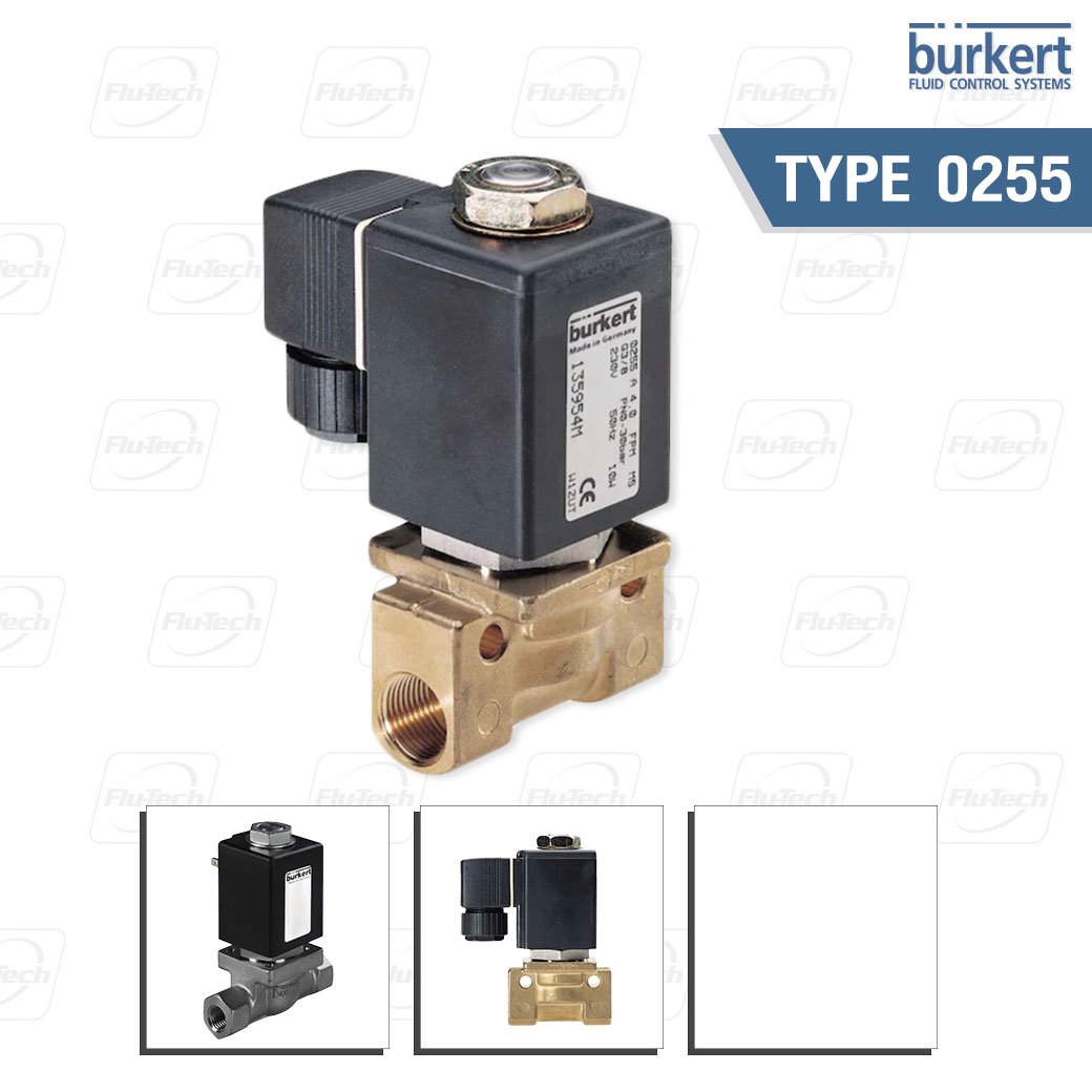 BURKERT TYPE 0255 - flutechthailand