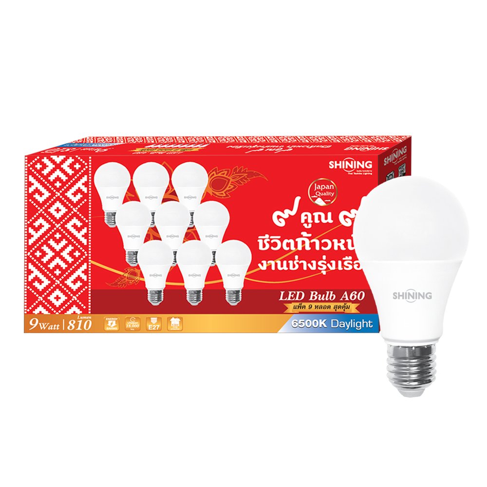 SHINING LED A-Bulb 9W DL PACK 9