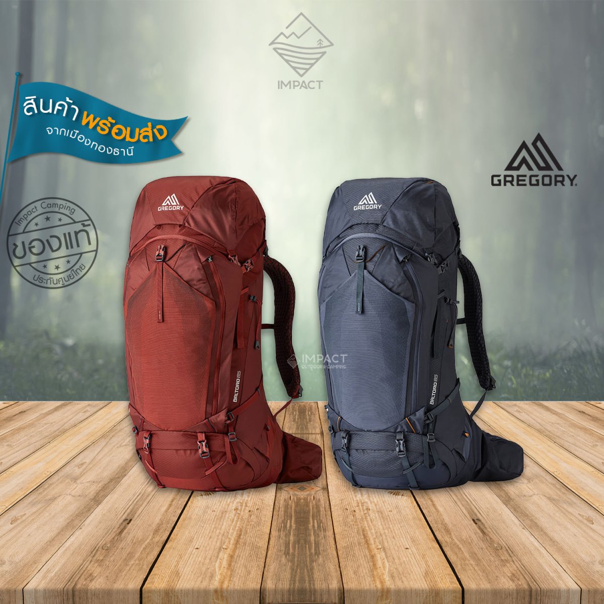 Gregory Baltoro 65 กระเป๋าเป้เดินป่า ผู้ชาย 65 ลิตร