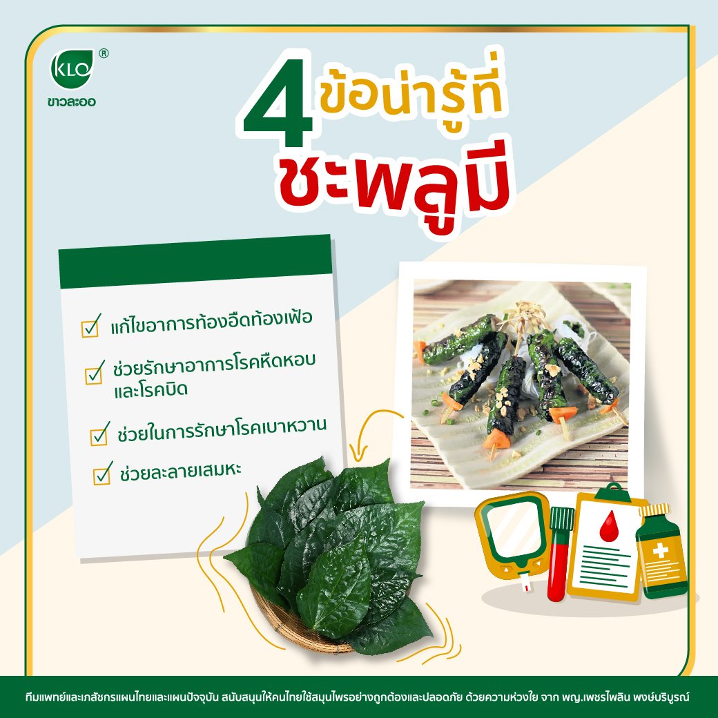 4 things to know that Chaplu has.