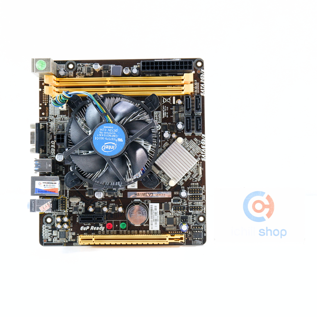 ชุดซีพียูพร้อมเมนบอร์ด CPU: INTEL XEON E3-1270 V3 + MB: BIOSTAR H81MLV3 ...