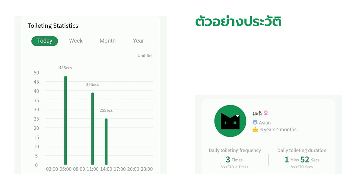 NOTTY TRIO - hykithailand