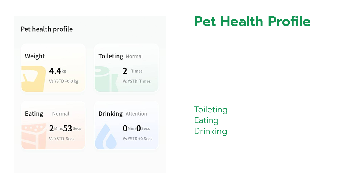 NOTTY TRIO - hykithailand