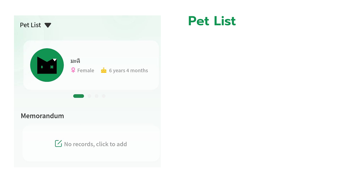 NOTTY TRIO - hykithailand