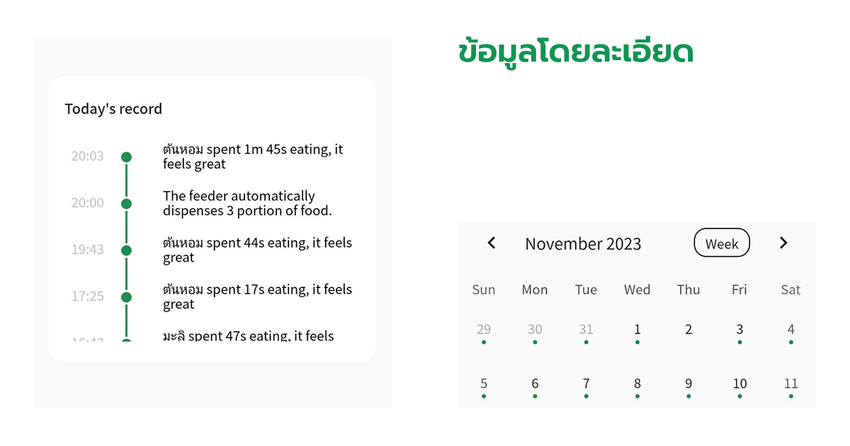 NOTTY TRIO - hykithailand