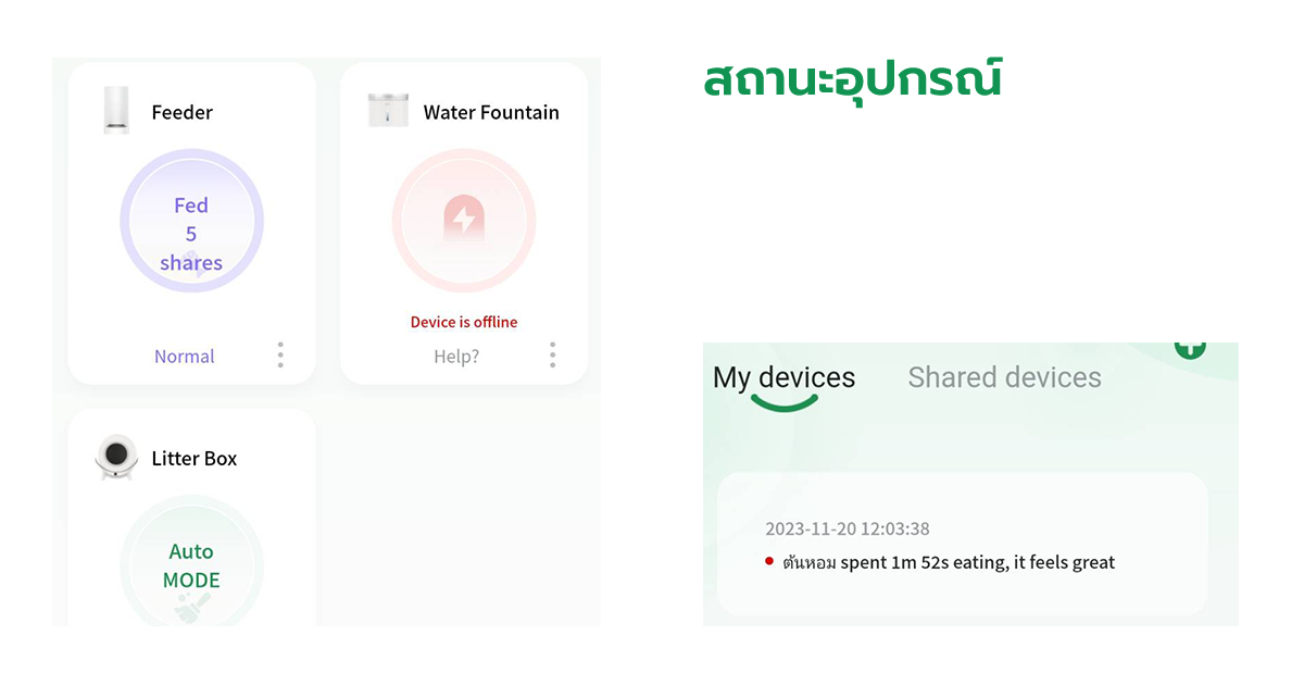 NOTTY TRIO - hykithailand