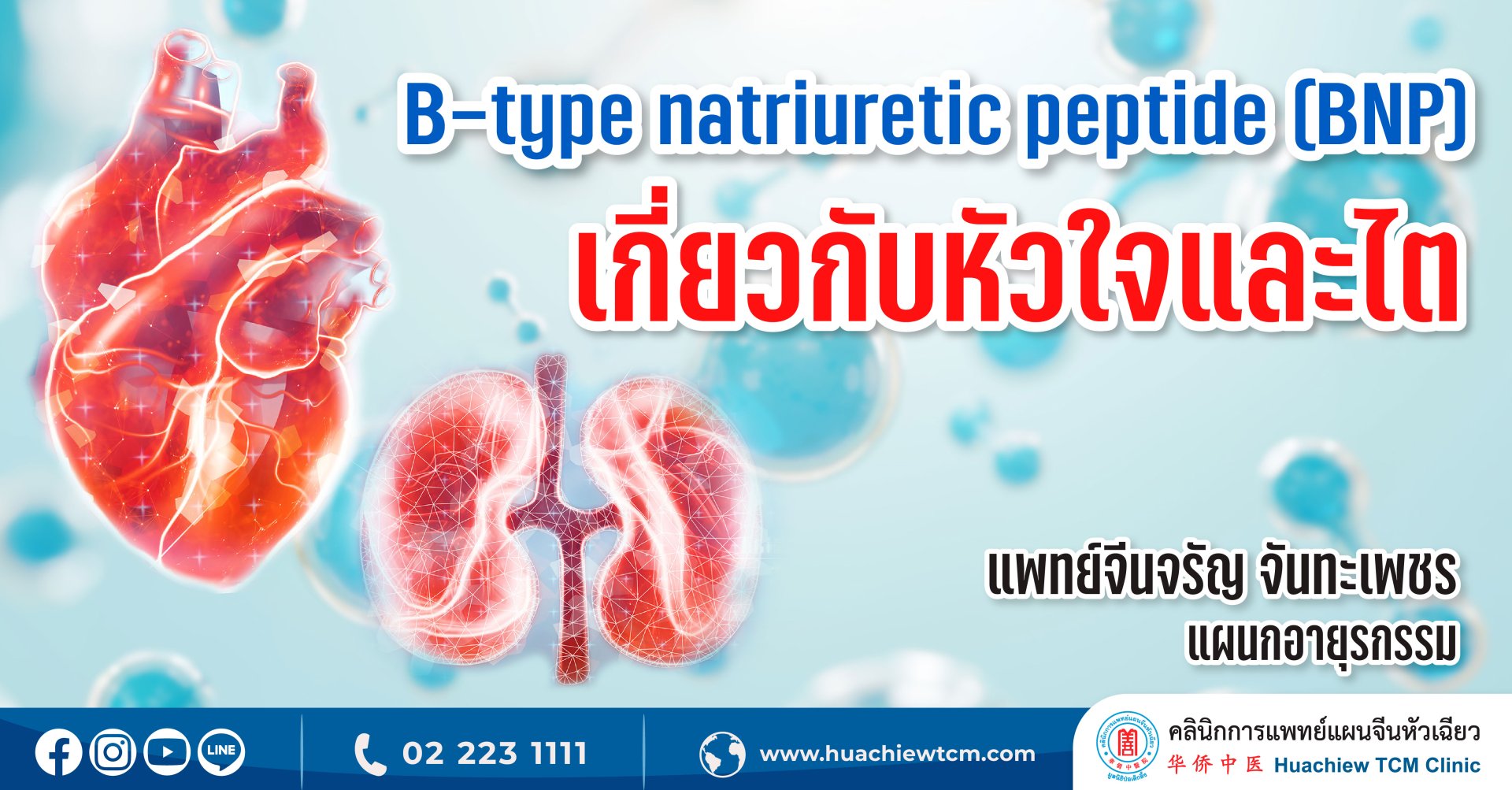 B-type natriuretic peptide (BNP) เกี่ยวกับหัวใจและไต - huachiewtcm