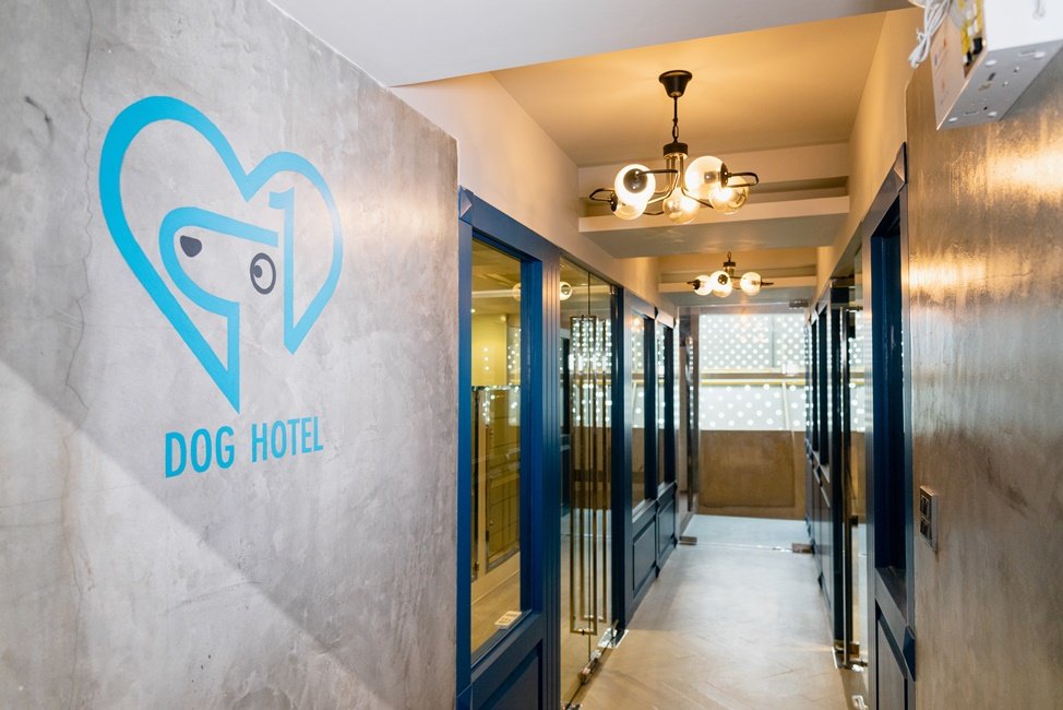 Dog hotel - โรงพยาบาลสัตว์เศรษฐกิจสัตวแพทย์ - setthakitanimalhospital