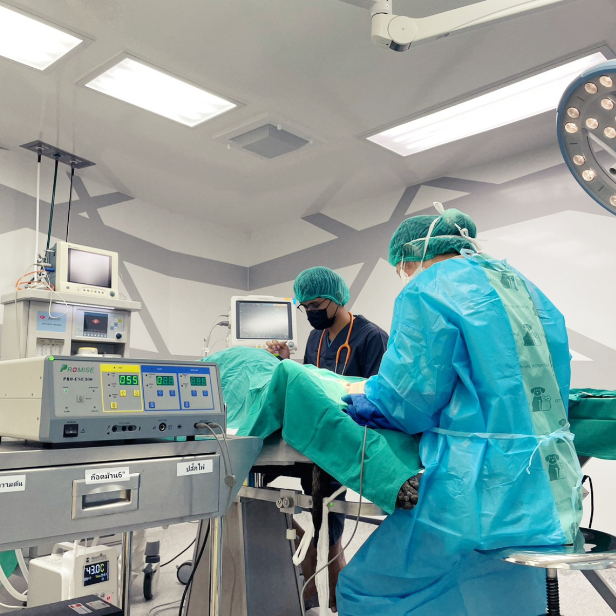 ศูนย์ผ่าตัดศัลยกรรมและบริการทันตกรรมสัตว์เลี้ยง - setthakitanimalhospital