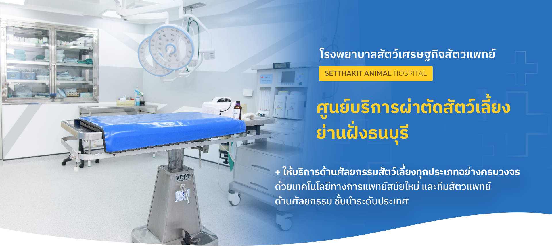 ทีมสัตวแพทย์ - setthakitanimalhospital