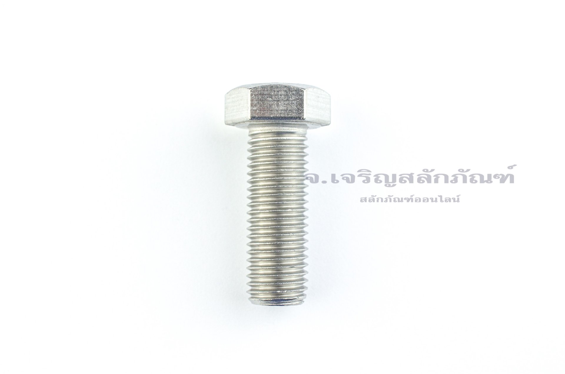 น็อตหัวเหลี่ยมสแตนเลส Stainless Steel Hex Bolt M16x45