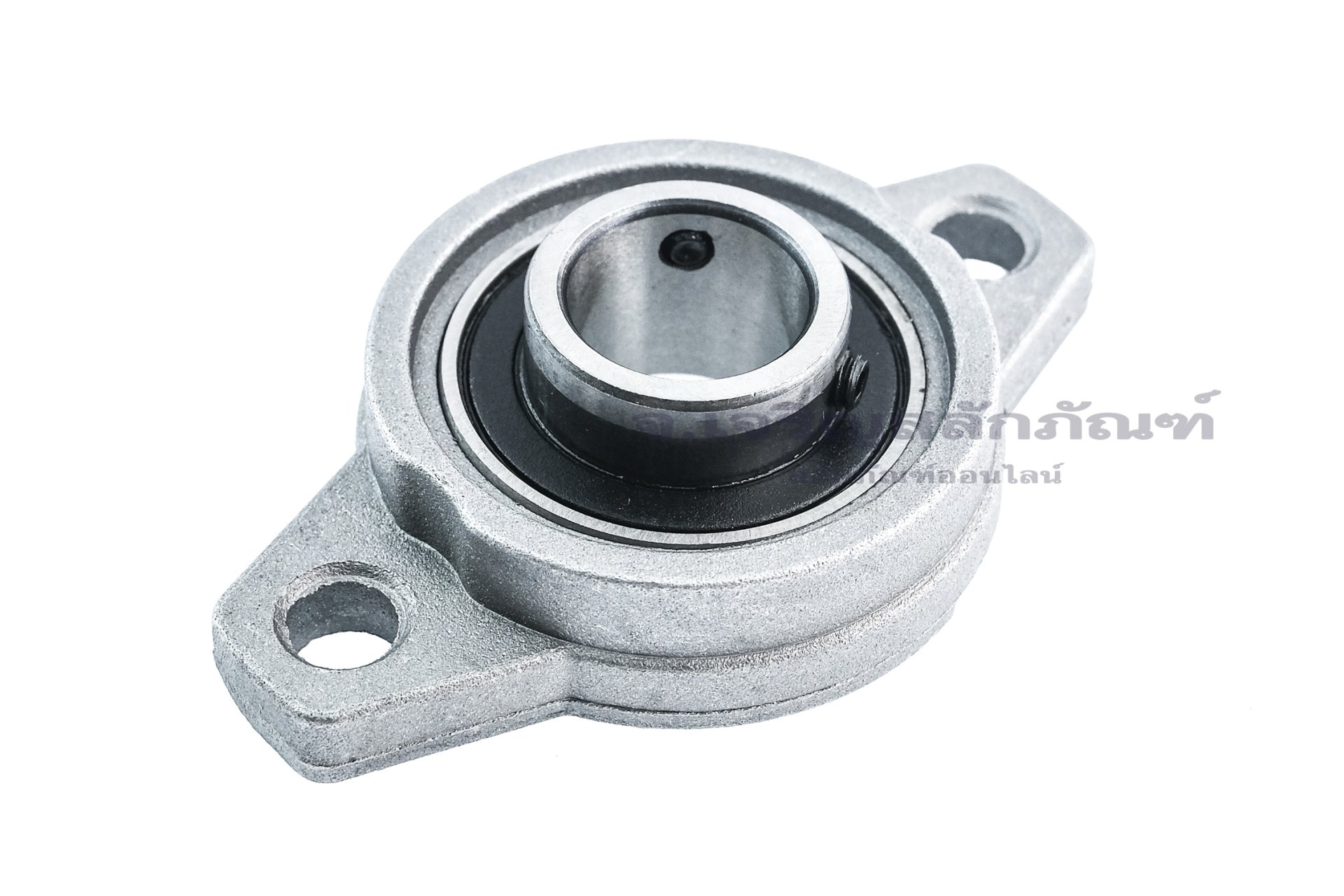 ตลับลูกปืนตุ๊กตาทรงไข่ Oval Shape, Pillow Block Bearing รุ่น K002/FL002 ...