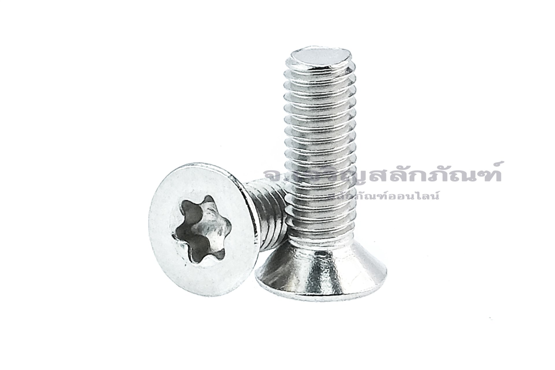 น็อตหัวทอร์ค-หัวดาวเตเปอร์สแตนเลส เกรด 316 (Torx, Taper Head Screw ...