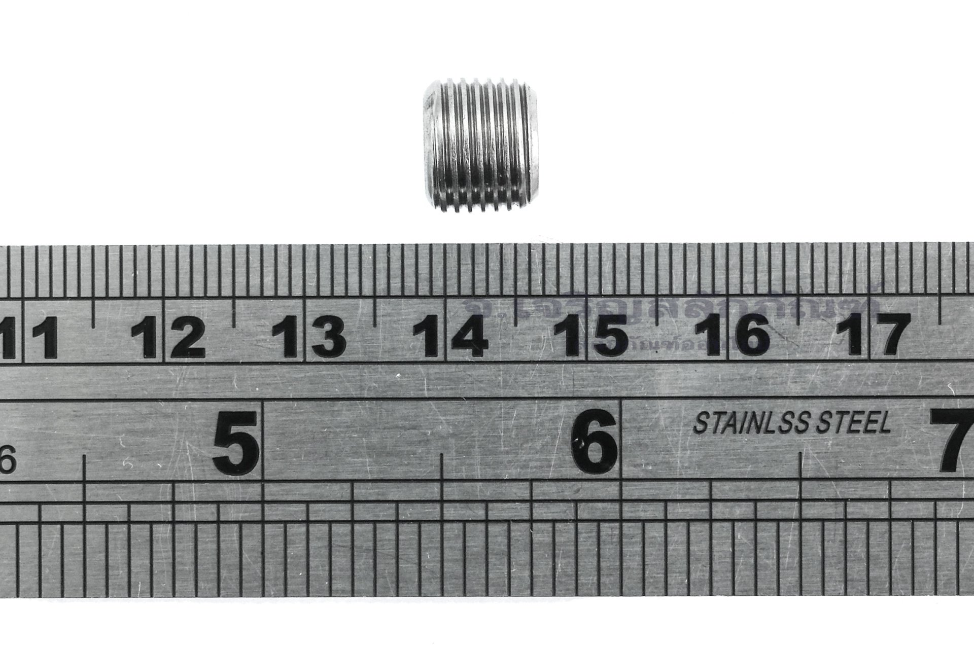 ปลั๊กอุดตัวหนอนสแตนเลส 1/8" BSPT 28