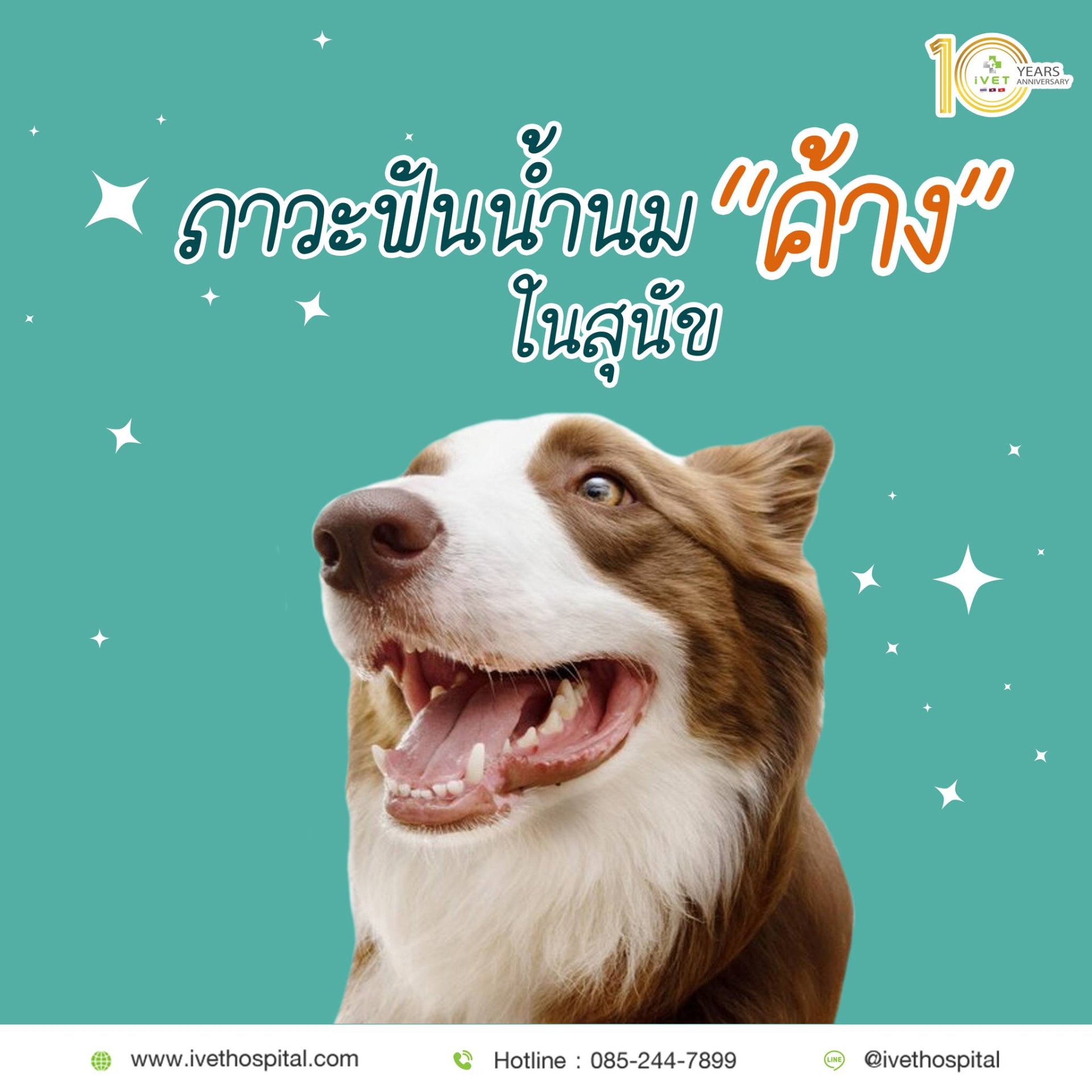 ฟันน้ำนมค้าง (retained deciduous teeth)