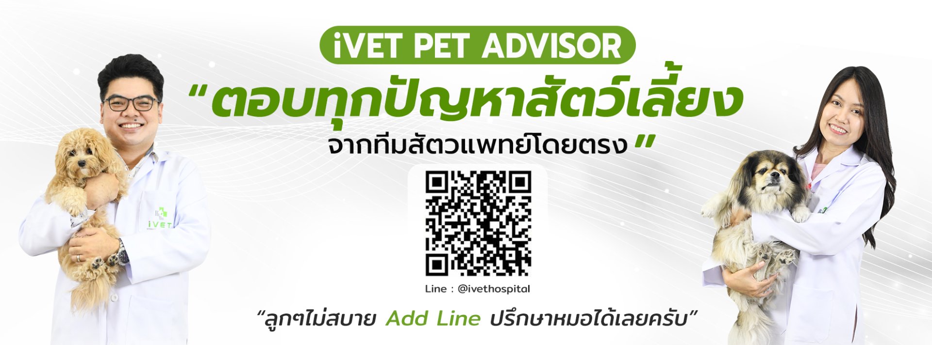 iVET Animal Hospital | Open 24 Hours | Rama 9 & Salaya Branches