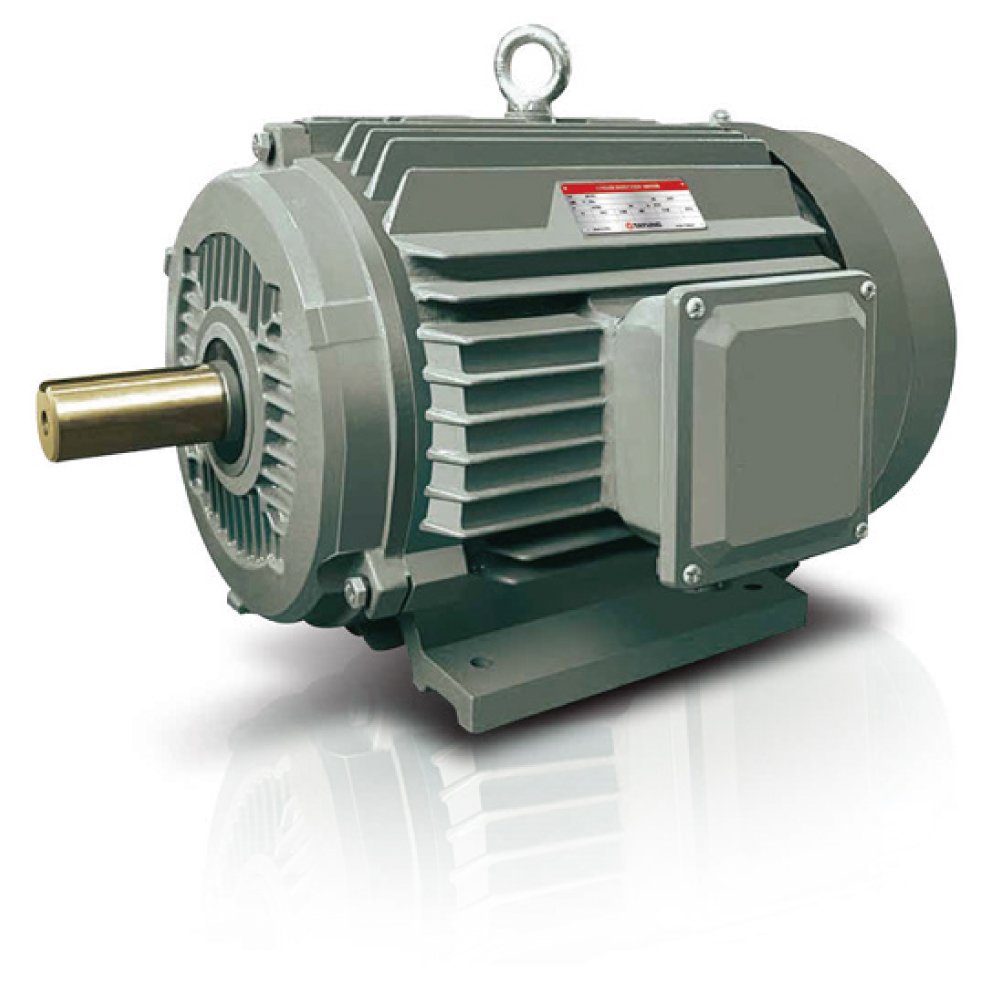 High efficiency MOTOR IE2 TATUNG - maxflow