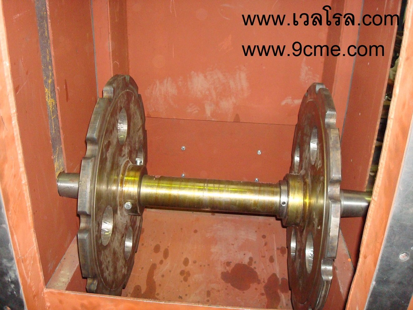 กระพ้อลำเลียง(Bucket elevator, continuous buckets using chain) - neoroller