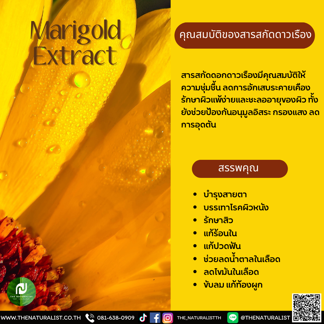 สารสกัดดาวเรือง - Marigold Extract / Calendula Extract