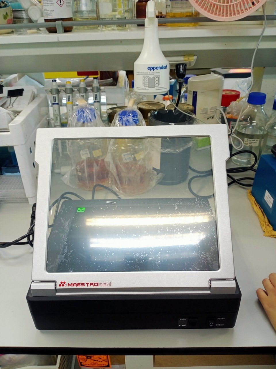 Ultra Bright LED Transilluminator - Mastrogen