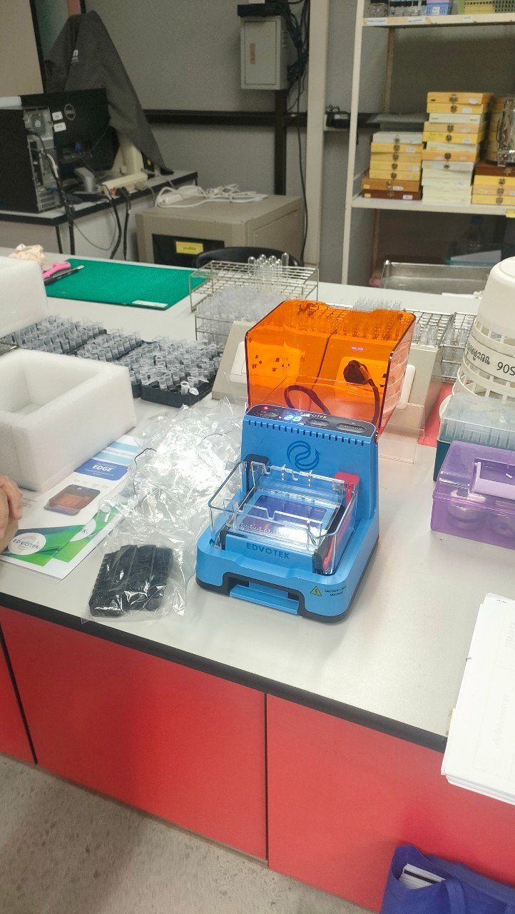 EDGE™ Integrated Electrophoresis System - Edvotek