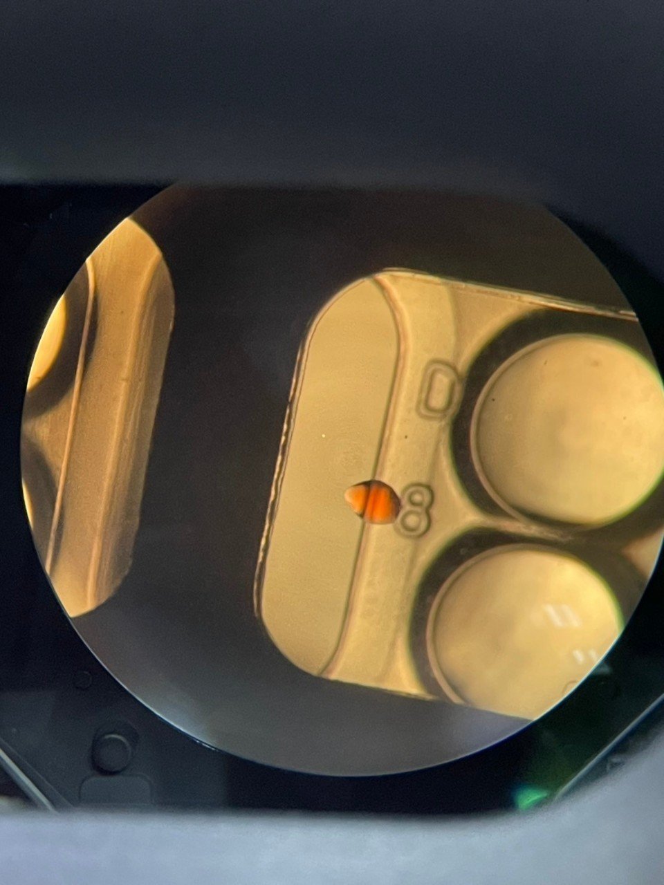 Drop Setter for Protein Crystallization - NT8® (Formulatrix) และ CyBio ...