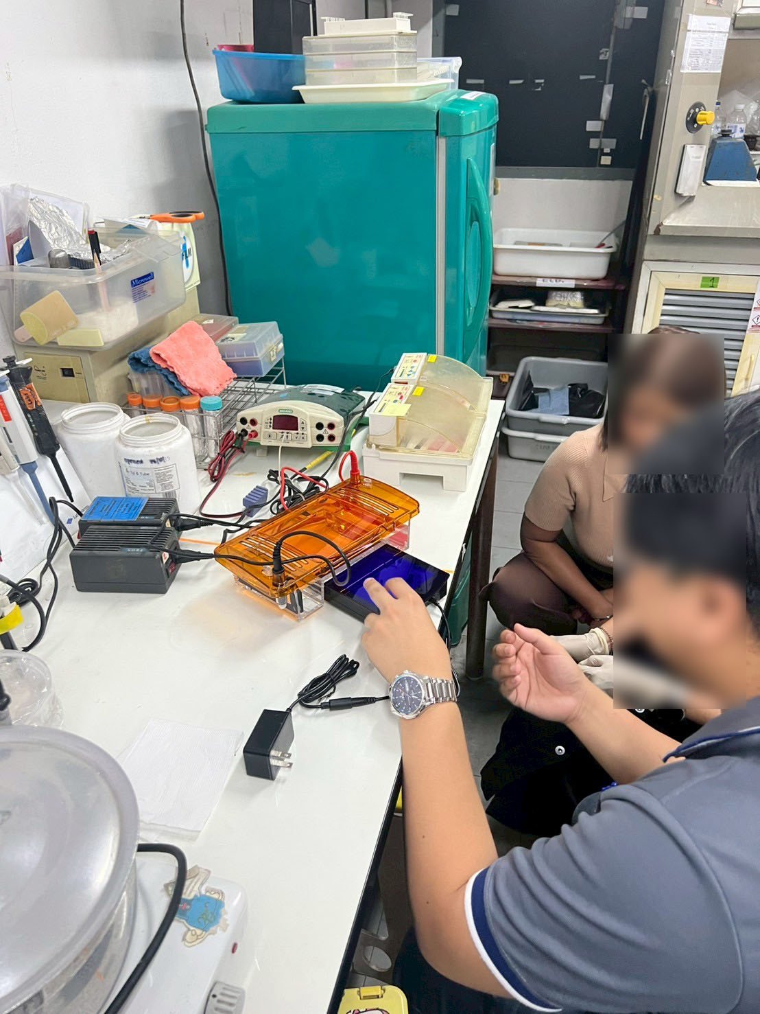 Integrated Horizontal Electrophoresis System (Electrophoresis Tank ...