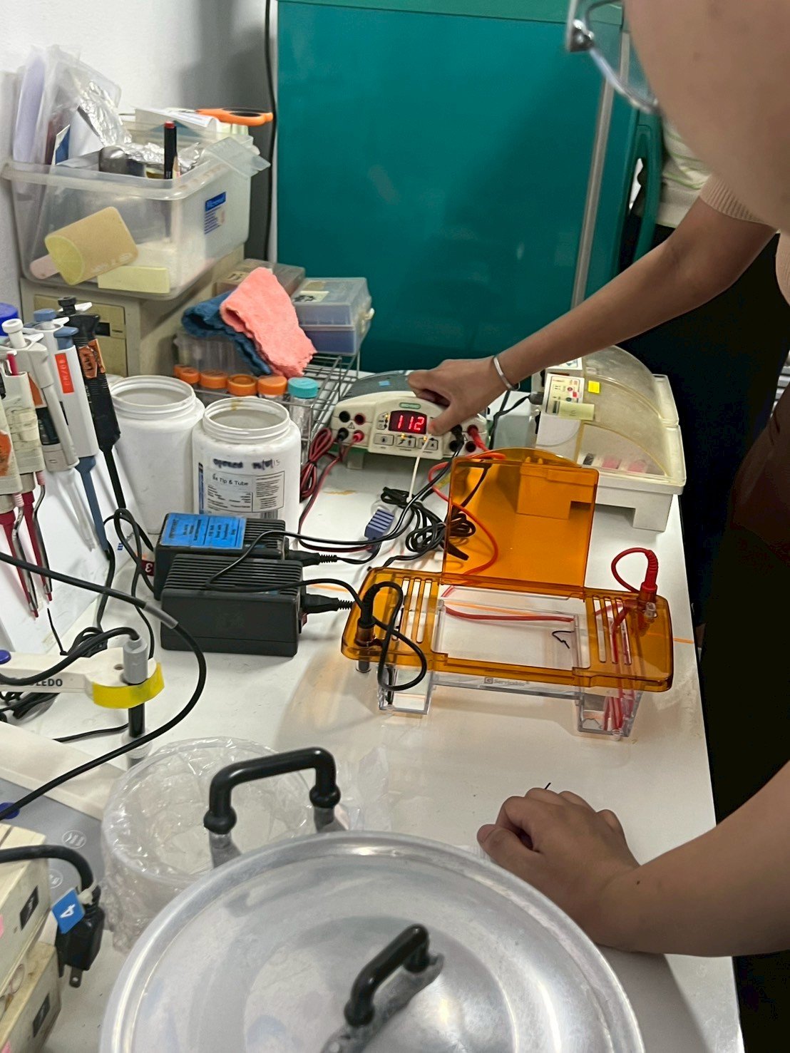 Integrated Horizontal Electrophoresis System (Electrophoresis Tank ...