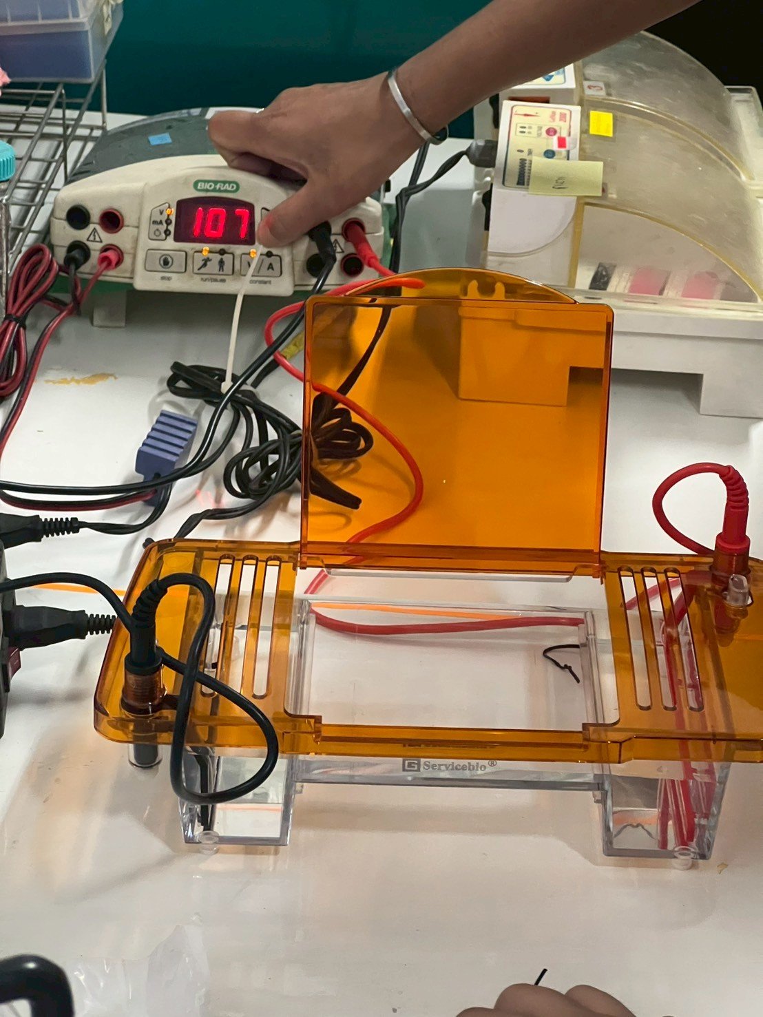 Integrated Horizontal Electrophoresis System (Electrophoresis Tank ...