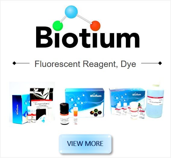 Smart Science Co., Ltd.