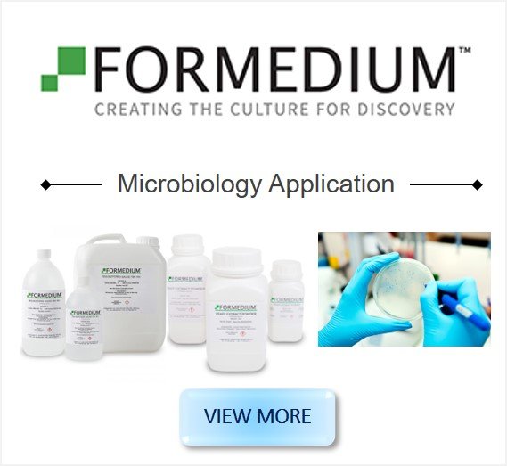 Smart Science Co., Ltd.