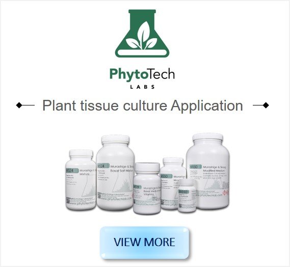 Smart Science Co., Ltd.