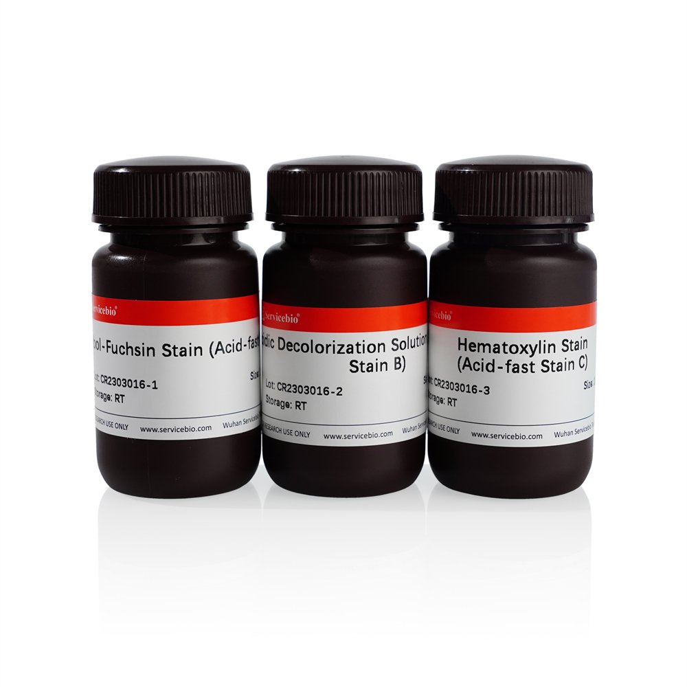 Acid- fast stain,100 mL×3 (for Microorganism staining) - smartscience
