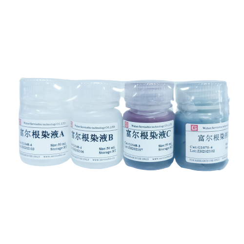 Feulgen stain, 50 mL×4 (for Nucleic acid staining) - smartscience