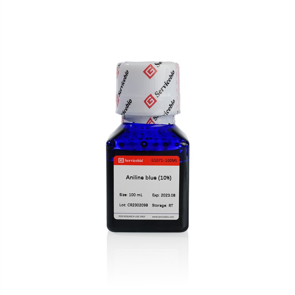 Aniline blue (10%), 100 mL (for Plant sample staining) - smartscience